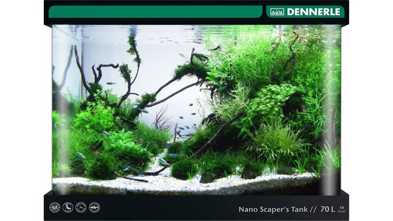 Dennerle Nano ScapersTank 70 L - AquariumTrader